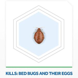 Raid Max Foam Bed Bug 17.5 Ounce (Pack of 3)