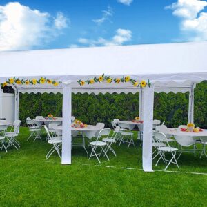 PEAKTOP OUTDOOR 20'X20' Party Tent Heavy Duty Wedding Tent Outdoor Gazebo Event Shelter Canopy with Carry Bags