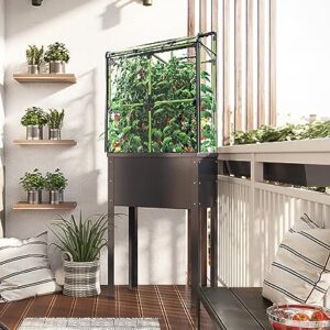 Bio Green JGL-C Greenhouse Compatible with City Jungle Trellis and Heidelberg – Outdoor and Indoor 2 Zippers – Protection Plant Covers – Transparent Design