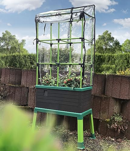 Bio Green JGL-C Greenhouse Compatible with City Jungle Trellis and Heidelberg – Outdoor and Indoor 2 Zippers – Protection Plant Covers – Transparent Design