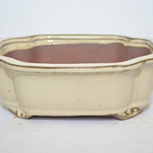 Bonsai Ceramic Pot 8" Beige Color, Glaze with draining Holes.