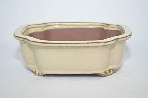 Bonsai Ceramic Pot 8" Beige Color, Glaze with draining Holes.