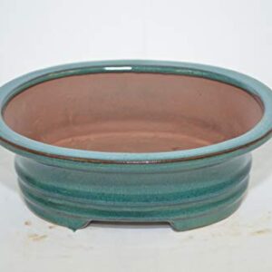 Bonsai Ceramic Pot 8" Teal Color, Oval Shape, Glazed with draining Holes.