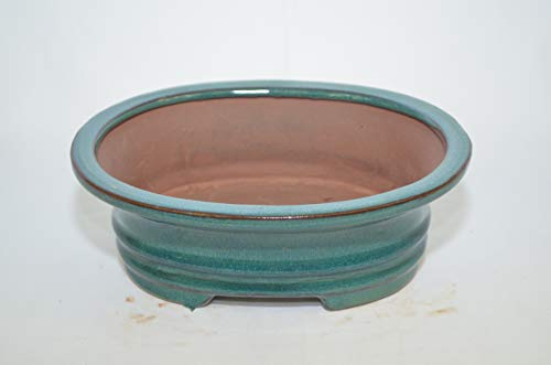 Bonsai Ceramic Pot 8" Teal Color, Oval Shape, Glazed with draining Holes.