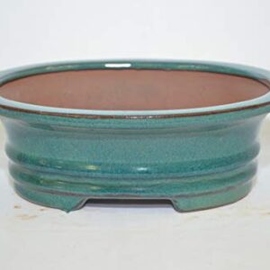 Bonsai Ceramic Pot 8" Teal Color, Oval Shape, Glazed with draining Holes.