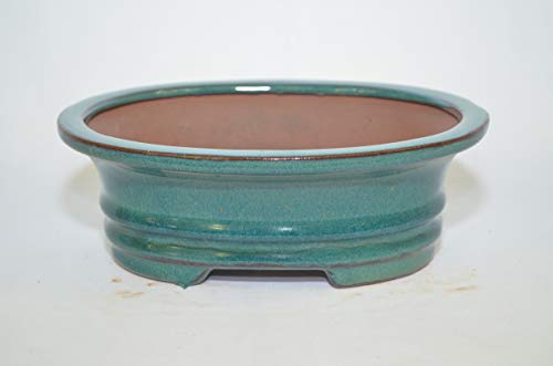 Bonsai Ceramic Pot 8" Teal Color, Oval Shape, Glazed with draining Holes.