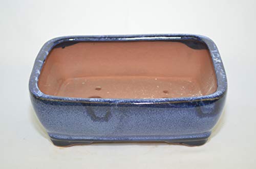 Bonsai Ceramic Pot 8" Blue with 2 Tone Color, Glazed with draining Holes.