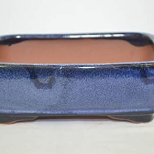 Bonsai Ceramic Pot 8" Blue with 2 Tone Color, Glazed with draining Holes.