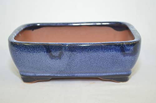 Bonsai Ceramic Pot 8" Blue with 2 Tone Color, Glazed with draining Holes.