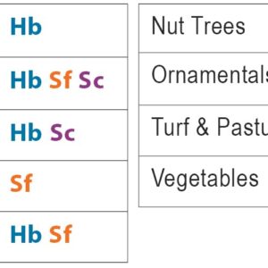 Beneficial Nematodes Heterohabditis bacteriophora HB -10 Million