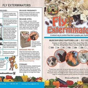 NaturesGoodGuys Fly Exterminator 10,000 Size