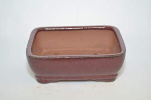 bonsai ceramic pot 7", burgundy color, rectangle shape, glazed with draining holes.