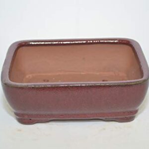 Bonsai Ceramic Pot 7", Burgundy Color, Rectangle Shape, Glazed with draining Holes.