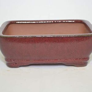 Bonsai Ceramic Pot 7", Burgundy Color, Rectangle Shape, Glazed with draining Holes.