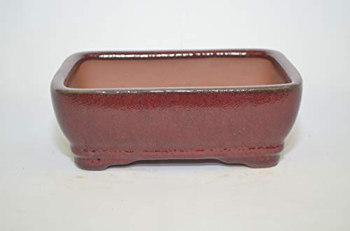 Bonsai Ceramic Pot 7", Burgundy Color, Rectangle Shape, Glazed with draining Holes.