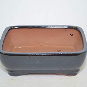 Bonsai Ceramic Pot 7", Black Color, Rectangle Shape, Glazed with draining Holes.