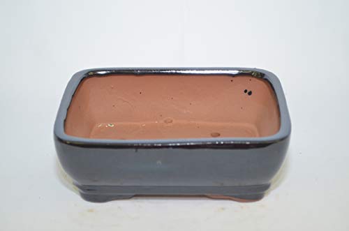 Bonsai Ceramic Pot 7", Black Color, Rectangle Shape, Glazed with draining Holes.