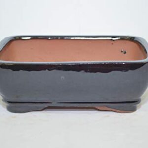 Bonsai Ceramic Pot 7", Black Color, Rectangle Shape, Glazed with draining Holes.