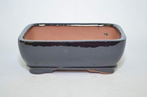 Bonsai Ceramic Pot 7", Black Color, Rectangle Shape, Glazed with draining Holes.