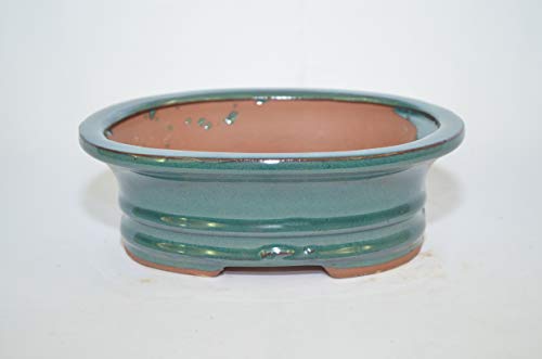 Bonsai Ceramic Pot 7", Teal Color, Oval Shape,Glazed with draining Holes.