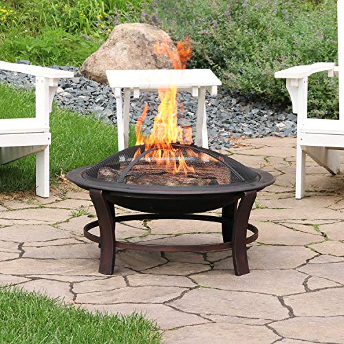 Sunnydaze 29-Inch Elevated Wood-Burning Fire Pit Bowl with Stand - Includes Spark Screen, Wood Grate, and Poker