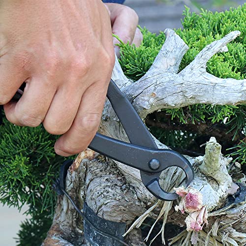 Wazakura Hanafubuki Hand Forged Bonsai Tree Trunk Splitter, Made in Japan 8.25inch(210mm), Branch Cutter Japanese Garden Tool - 8.25inch(210mm), Black