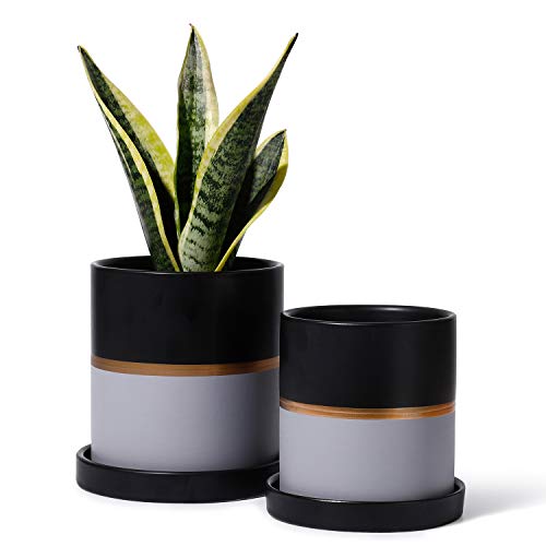 POTEY 052004 Planter Pots Indoor - 4.9 & 3.9 Inch Modern Home Decor Cylinder Ceramic Flowerpot Bonsai Container with Drainage Holes&Saucer for Indoor Plants Flower Succulent(Plants NOT Included)