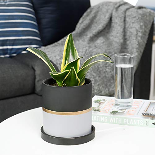 POTEY 052004 Planter Pots Indoor - 4.9 & 3.9 Inch Modern Home Decor Cylinder Ceramic Flowerpot Bonsai Container with Drainage Holes&Saucer for Indoor Plants Flower Succulent(Plants NOT Included)