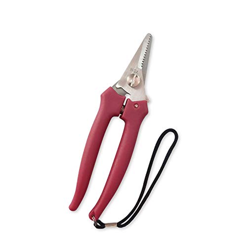 Avarosa Shears Gardening Tools, Plant Shears, Garden Shears Pruning, Pruning Shears, Garden Scissors, Pruning Shears for Gardening, Pruning Scissors for Gardening Trimming Plants, Garden Tools.