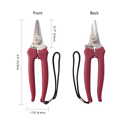 Avarosa Shears Gardening Tools, Plant Shears, Garden Shears Pruning, Pruning Shears, Garden Scissors, Pruning Shears for Gardening, Pruning Scissors for Gardening Trimming Plants, Garden Tools.