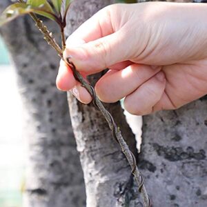 Hanafubuki Wazakura Japanese Bonsai Training Wire 1.0mm, Brown Anodized Coating Aluminum Made in Japan - 150g (229 feet) 1.0mm