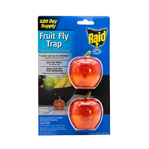 Raid Fruit Fly Trap for Indoors | Effective Fly Killer | Insect Catcher | Fruit Fly Killer & Gnat Traps for House Indoor | Easy to Use & 120 Day Food-Based Lure Fly Catcher (2 Pack)