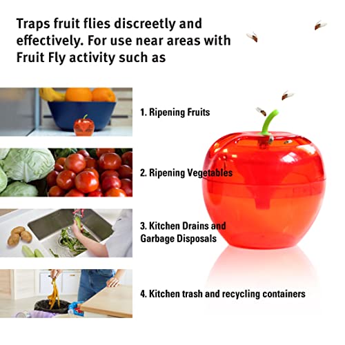 Raid Fruit Fly Trap for Indoors | Effective Fly Killer | Insect Catcher | Fruit Fly Killer & Gnat Traps for House Indoor | Easy to Use & 120 Day Food-Based Lure Fly Catcher (2 Pack)