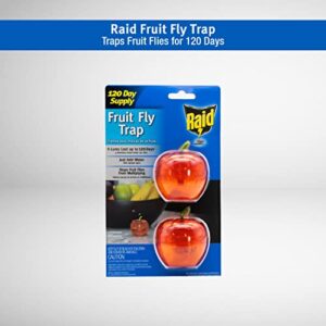 Raid Fruit Fly Trap for Indoors | Effective Fly Killer | Insect Catcher | Fruit Fly Killer & Gnat Traps for House Indoor | Easy to Use & 120 Day Food-Based Lure Fly Catcher (2 Pack)