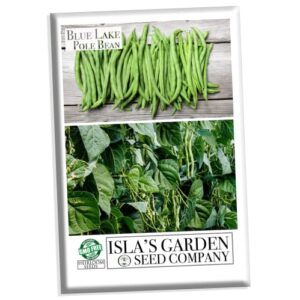 blue lake pole bean seeds for planting, 50+ heirloom green bean seeds per packet, (isla's garden seeds), non gmo seeds, botanical name: phaseolus vulgaris