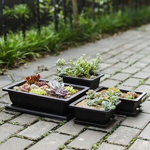 Yesland 24 Pcs Bonsai Training Pots of 6-1/2 Inch - Classic Deep Humidity Trays with Built in Mesh - Plastic Square Pot for Plants, Flowers, Herbs, African Violets & Seed Nursery