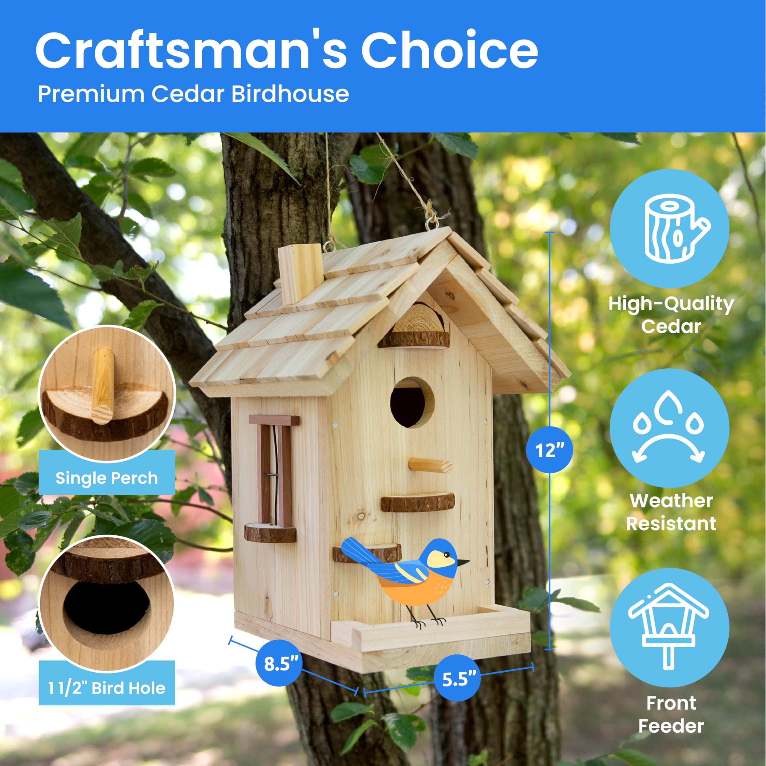 SparkJump Cedar Wood DIY Bird House Kit for Kids and Adults