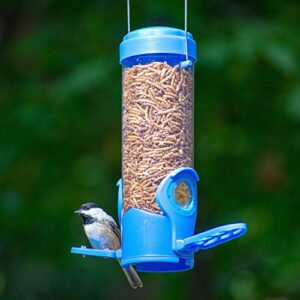 Perky-Pet 388F Dried Mealworm Bird Feeder with Flexports