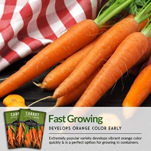 Survival Garden Seeds - Little Fingers Carrot Seed for Planting - Packet with Instructions to Plant and Grow Delicious Baby Carrots in Your Home Vegetable Garden - Non-GMO Heirloom Variety - 1 Pack