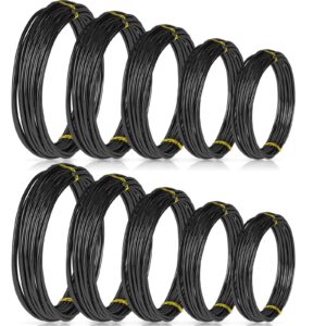 10 rolls bonsai wires anodized aluminum bonsai training wire in 5 sizes - 1.0 mm, 1.5 mm, 2.0 mm, 2.5 mm, 3.0 mm, total 164 feet (black)