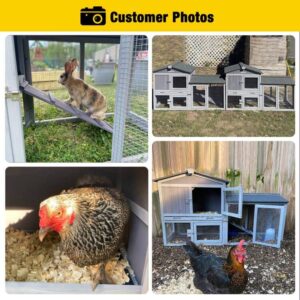 Aivituvin Chicken Coop for 4-6 Chickens Outdoor Duck House Wooden Quail Cage Hen Coop-Expandable Design