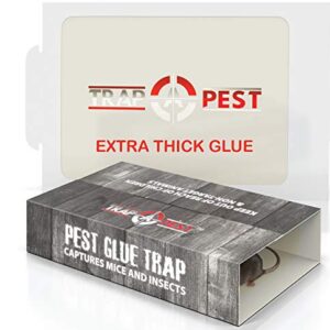 Sticky Mouse Traps Indoor for Home Ant Traps Indoor - Sticky Trap Indoor Home Bug Catcher Mice Traps for House Indoor Glue Traps Roach Trap Spider Traps for Inside Your Home (12 Traps)