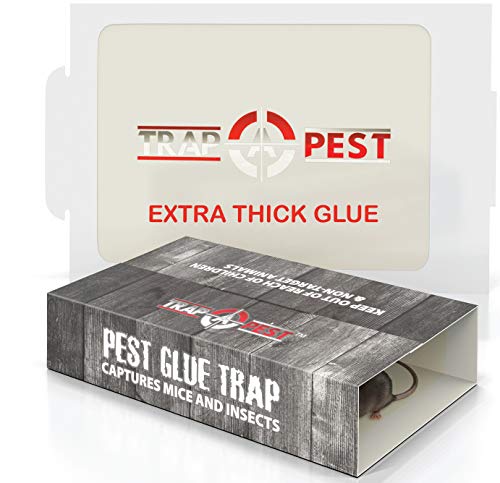 Sticky Mouse Traps Indoor for Home Ant Traps Indoor - Sticky Trap Indoor Home Bug Catcher Mice Traps for House Indoor Glue Traps Roach Trap Spider Traps for Inside Your Home (12 Traps)