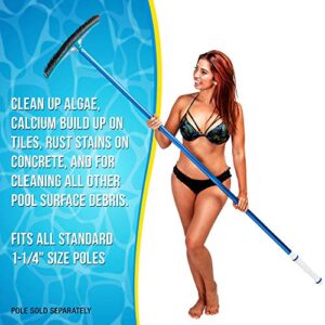 U.S. Pool Supply Professional 18" Stainless Steel Pool Brush with Heavy Duty Aluminum Handle, EZ Clips - Durable Wire Bristles, Scrub Remove Rust Stains on Concrete, Sweep Wall Floor Step Debris