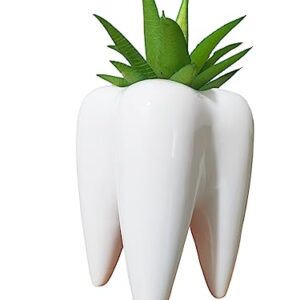 3.93 Inches Tall Tooth Shaped Ceramic Succulent Cactus Vase Flower Pot (Plants Not Included)