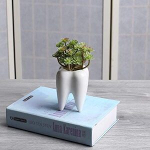 3.93 Inches Tall Tooth Shaped Ceramic Succulent Cactus Vase Flower Pot (Plants Not Included)