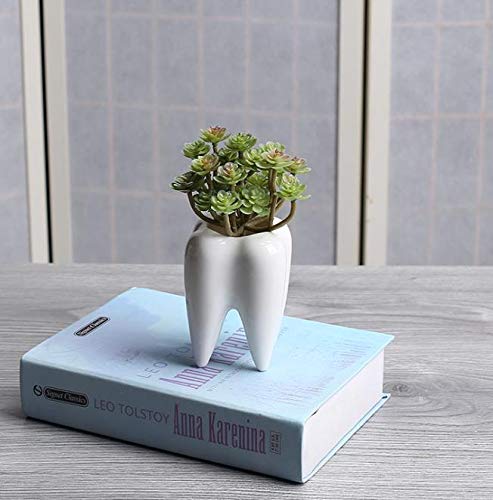 3.93 Inches Tall Tooth Shaped Ceramic Succulent Cactus Vase Flower Pot (Plants Not Included)