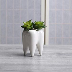 3.93 Inches Tall Tooth Shaped Ceramic Succulent Cactus Vase Flower Pot (Plants Not Included)