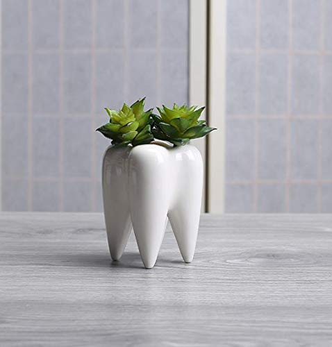 3.93 Inches Tall Tooth Shaped Ceramic Succulent Cactus Vase Flower Pot (Plants Not Included)