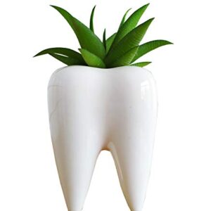 3.93 Inches Tall Tooth Shaped Ceramic Succulent Cactus Vase Flower Pot (Plants Not Included)